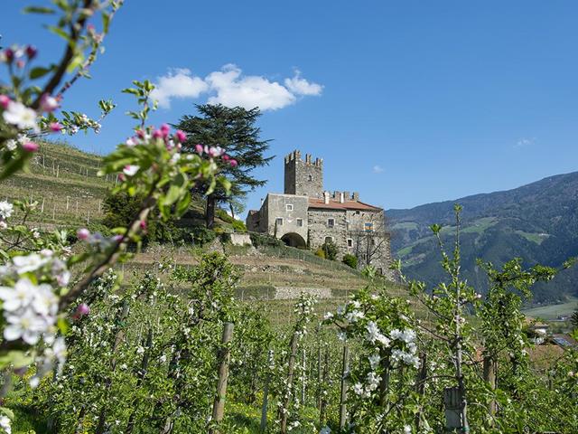 Urlaub in Naturns Offizielle Seite ☀️ unvergessliche Ferien