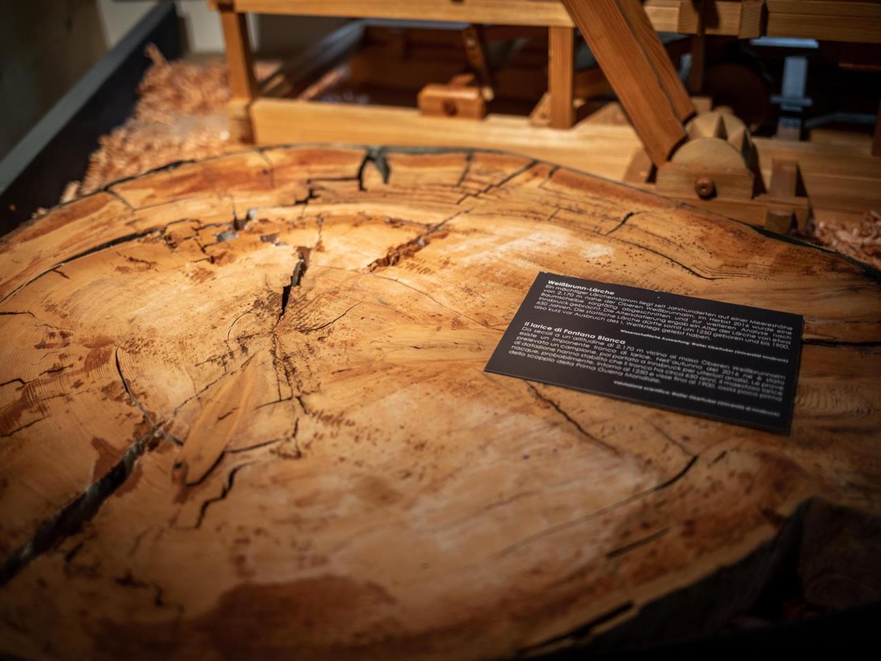 Prometheus Tree Rings