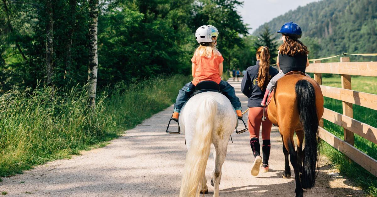 Horse & carriage rides and horse riding in Passeiertl Valley