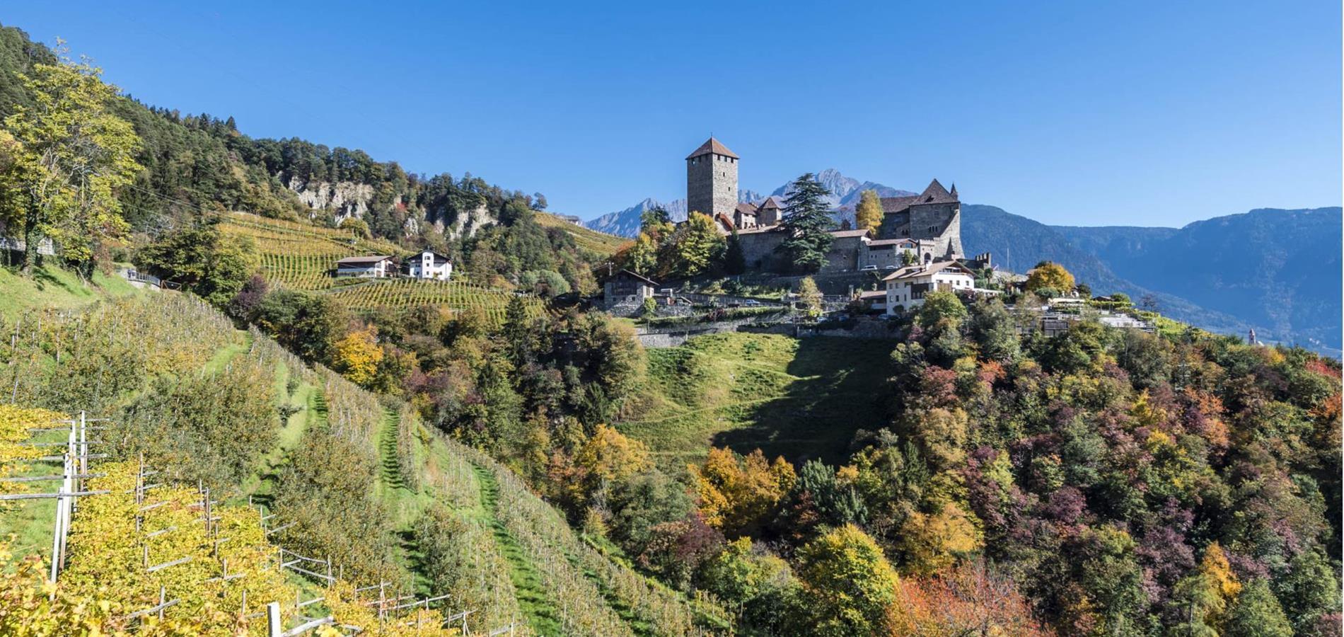 Willkommen auf der offiziellen Website von Dorf Tirol oberhalb Meran