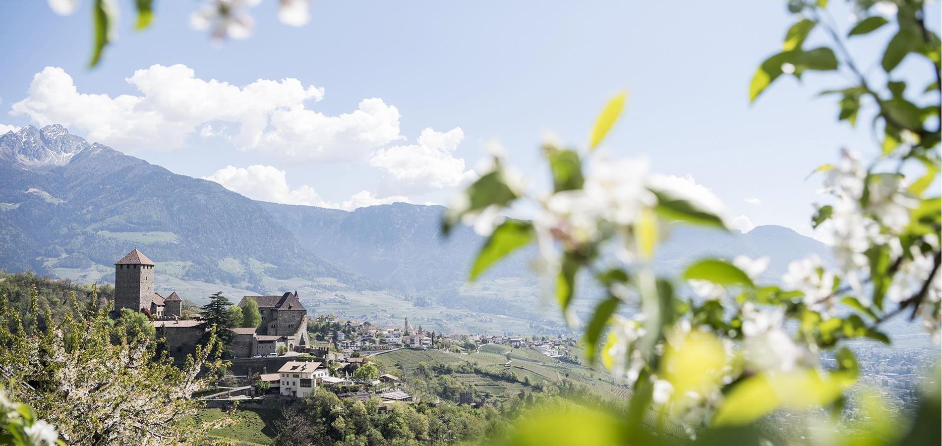 Willkommen auf der offiziellen Website von Dorf Tirol oberhalb Meran