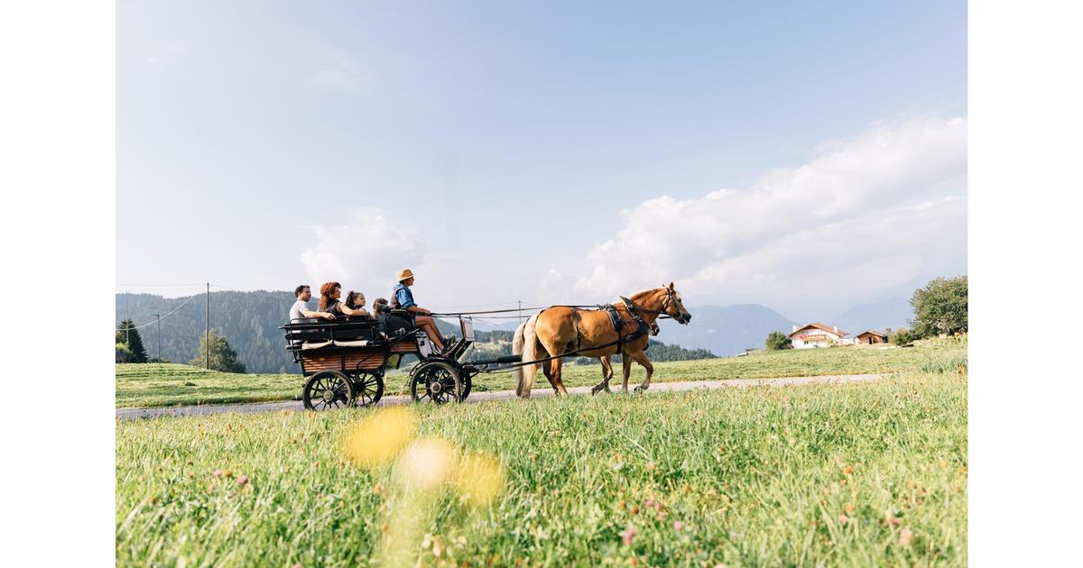 A cavallo e in carrozza: la magia dell’inverno ad Avelengo e Merano 2000