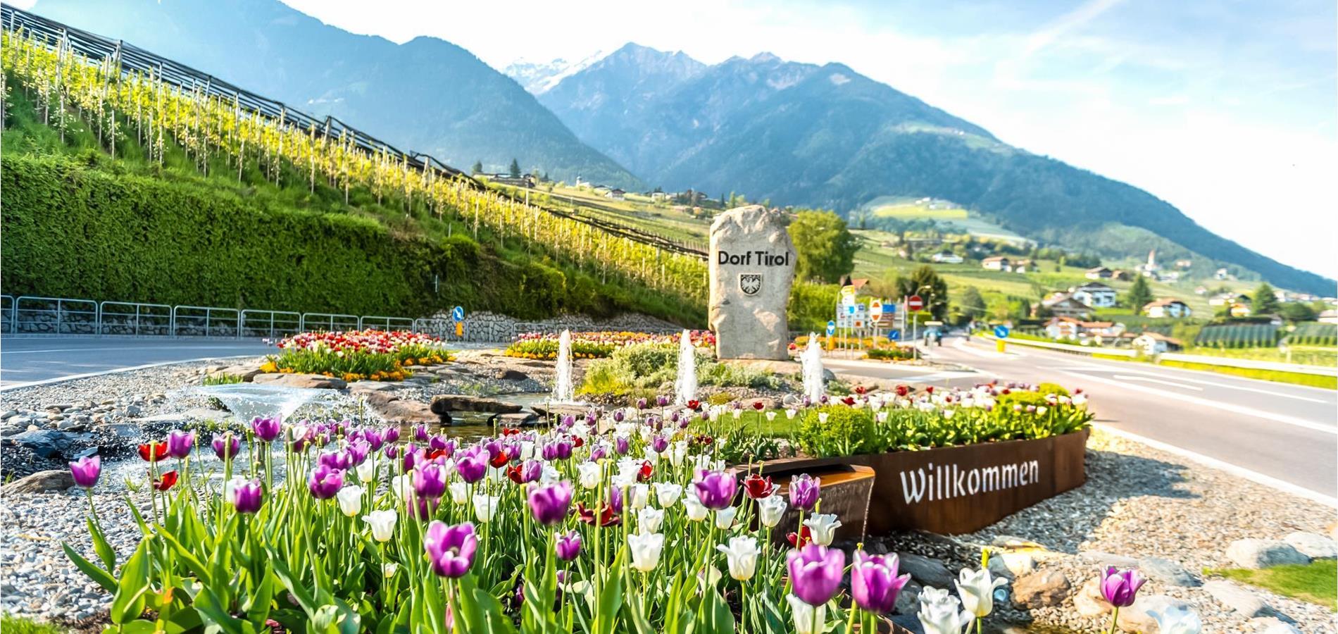 Frühling in Dorf Tirol - ein Erlebnis für alle Sinne: Jetzt Urlaub buchen