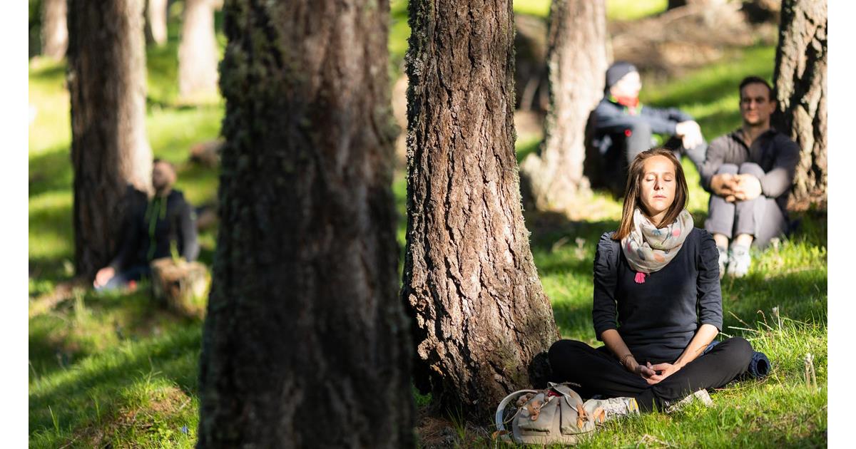 Alpine Forest Bathing in Merano and Environs