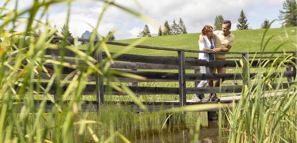 Offizielle Website von Hafling, Vöran & Meran 2000, Südtirol