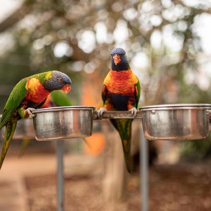 Orchideenwelt Raffeiner a Gargazzone presso Merano