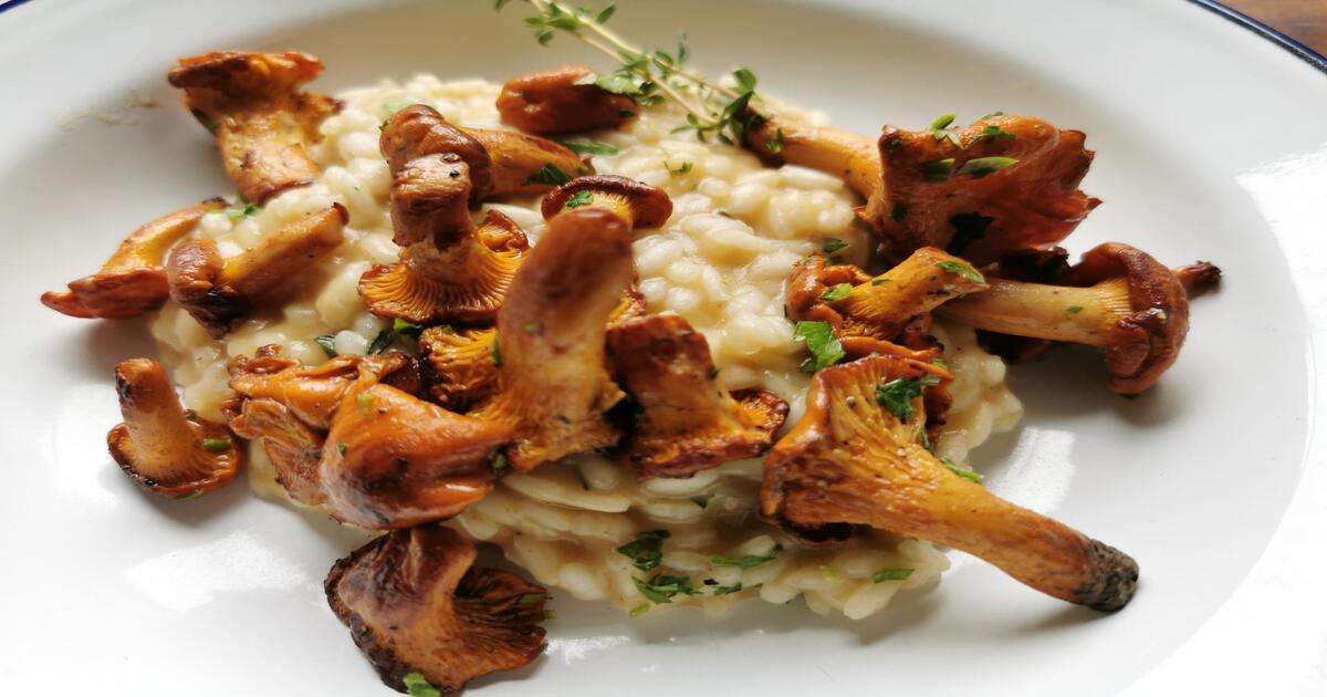 Rezepte Risotto mit Pfifferlingen